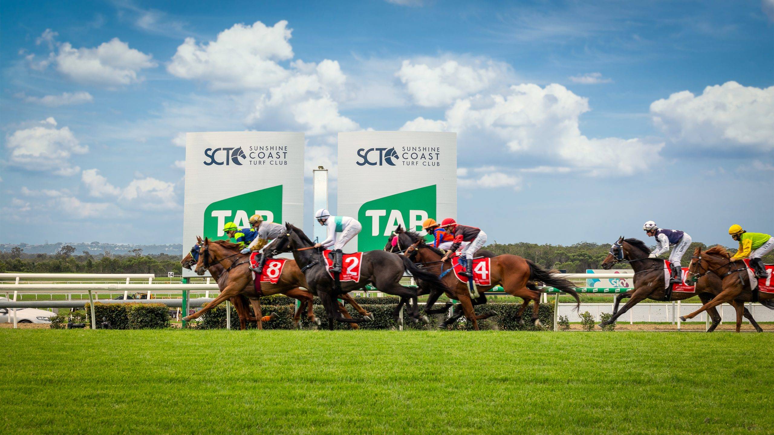 News | Sunshine Coast Turf Club